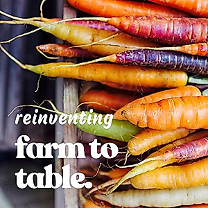 Purple Carrot Garden Seeds - 1 g ~600 Seeds - Heirloom, Non-GMO, Vegetable Garden & Microgreens Seed
