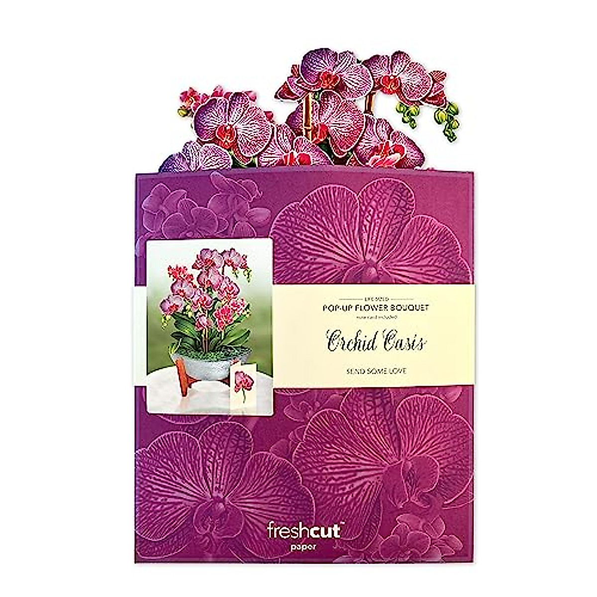 Freshcut Paper Pop Up Cards, Orchid Oasis, 12 Inch Life Sized Forever Flower Bouquet 3D Popup Greeting Cards, Birthday Gift Cards, Gifts for Her with Note Card & Envelope