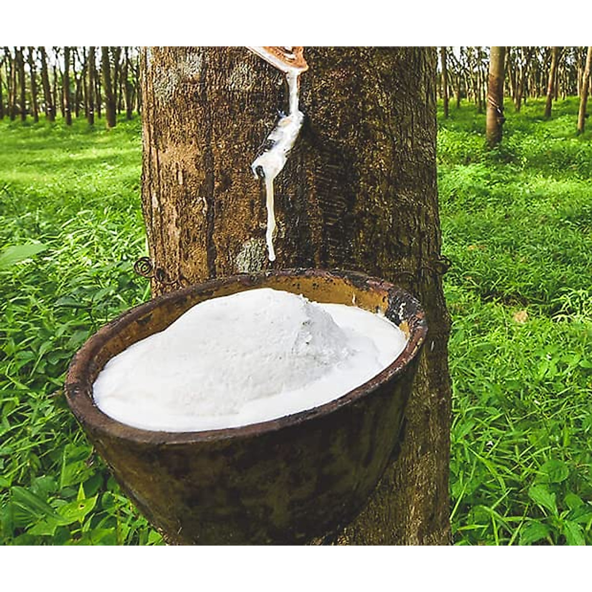 100% Natural Latex Mattress Topper - Soft - 3" Thick, King Mattress Topper