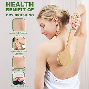 AIFEIVICO Dry Brushing Body Brush, Natural Boar Bristle Exfoliating Dry Brush, Long Handle Back Scrubber Brush, Face Brush, Foot Brush, Meridian Pressure Brush for Lymphatic Drainage, Cellulite