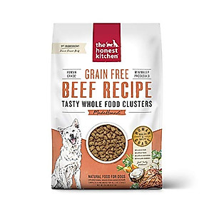 The Honest Kitchen Whole Food Clusters Grain Free Beef Dry Dog Food, 20 lb Bag