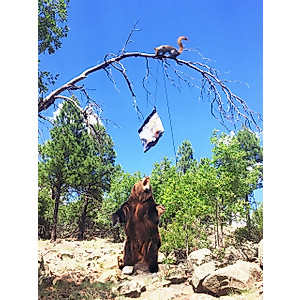 Ratsack Rodent Proof Bear Bags Medium Size - Ultralight Stainless Steel Mesh Bag for Camping Food Storage - Sturdy and Rust-Resistant Sack with Lock and Grommet For Easy Hanging - Made in USA… (Large)