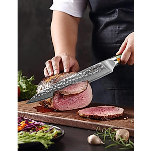 SANMUZUO 9 Inch Carving Knife, Slicing Knife - Hammered Damascus Steel & Resin Handle - Yao Series