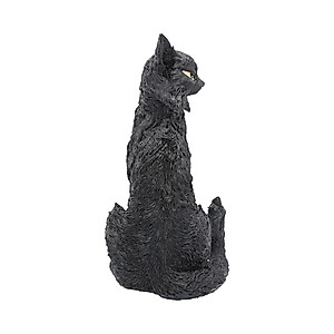 Nemesis Now Salem Witch Familiar Black Cat Figurine 32.5cm, Resin, Black, Witch's Familiar Figurine, Black Cat Ornament, Witchcraft Decor, Cast in The Finest Resin, Expertly Hand-Painted