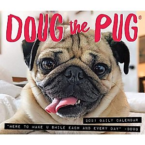 Doug the Pug 2021 Box Calendar (Dog Breed Calendar)
