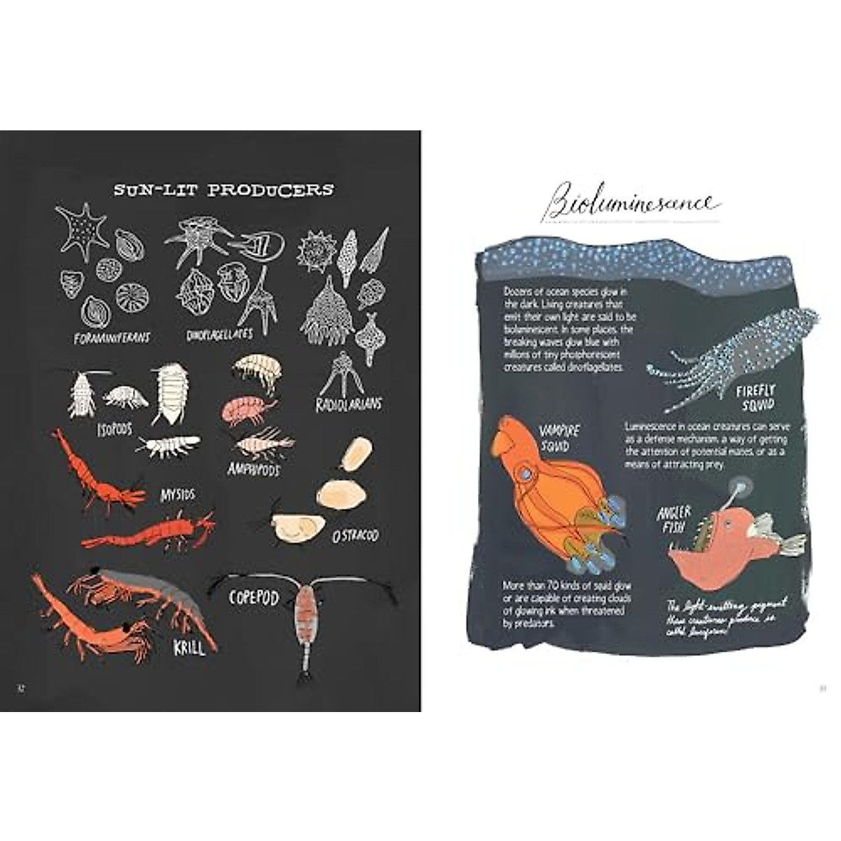 Ocean Anatomy: The Curious Parts & Pieces of the World under the Sea