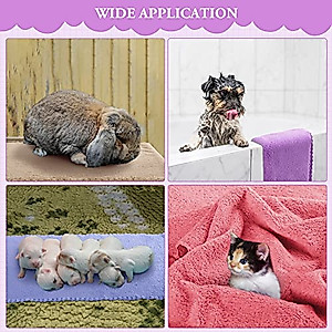 10 Pieces Guinea Pigs Blankets Hamster Fleece Cage Liners Soft Guinea Pig Accessories Small Animal Pet Blanket Sleep Bedding Mats Pet Supplies for Dog Puppy Cat (Mixed Colors, 13.8 x 29.5 Inch)