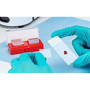 Globe Scientific 1404-15 Cover Glass, 22 x 22mm, #1.5 Thickness (Case of 10)