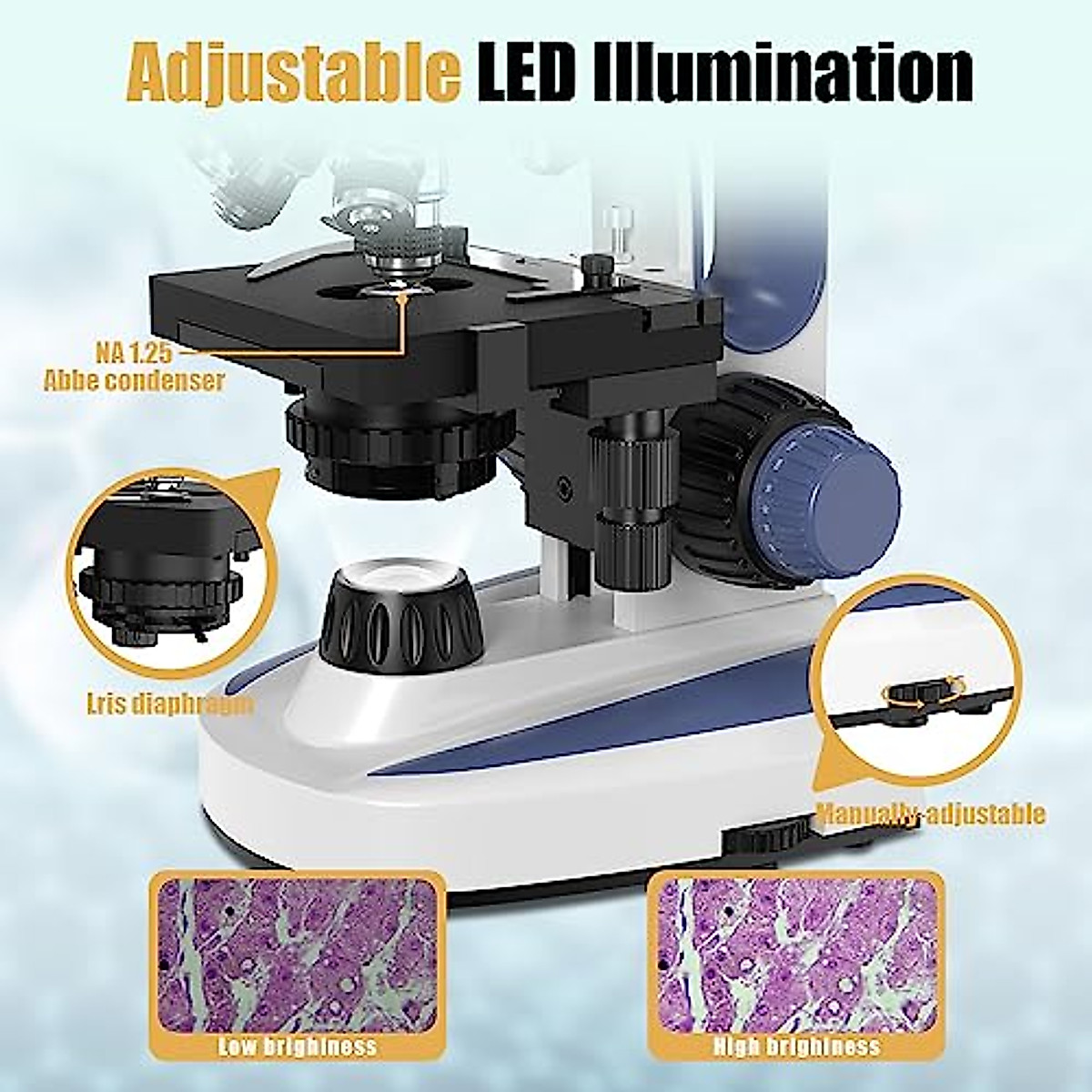EDKKIE 40X-2500X Lab Compound Trinocular Microscope Built-in 5MP Camera with 7’’ Screen, Wide-Field 10X and 25X Eyepieces, Dual Illumination System, Double Layer Mechanical Stage