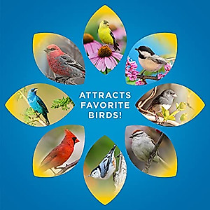 Audubon Park Songbird Blend Wild Bird Food, Bird Food for Outside Feeders, 14-Pound Bag