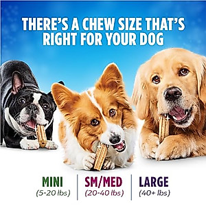 Dentalife DentaLife Made in USA Facilities Small/Medium Dog Dental Chews, Daily - (2) 47 ct. Pouches