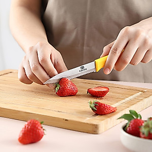 KL KALOO Paring Knife, Set of 4 Paring Knives Set With 2-Piece 4-inch Straight & Serrated Paring Knives, 3.5-inch Peeling Knife & 4.5-inch Utility Paring Knife (Green, Red, Pink and Yellow)