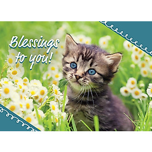 HTL Card-Boxed-Childrens Birthday-Fuzzy Friends (Box of 12)