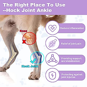 Dog Leg Brace for Back Leg Rear Leg Hock Ankle, Dog Hip Brace for Sprains, Torn Ligaments and Post-Op, Strong Support Help, Lightweight, Promotes Faster Recovery and Reduce Pain, 1 Pair, Medium