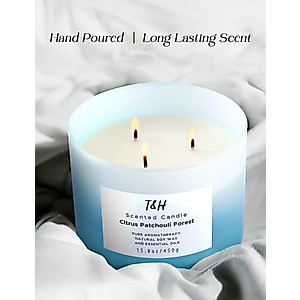 Large Citrus Patchouli Eucalyptus & Cedar Forest 3-Wick Candle - Highly Scented Natural Soy Candle for Home & Office 15.8 oz - Aromatherapy Stress Relief Candle, Refreshing Gift Candle for Women & Men