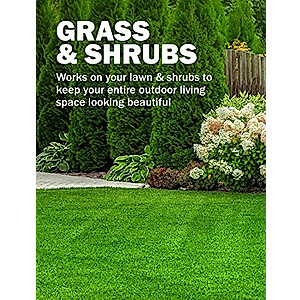 Seymour 20-602 Grass and Shrub Renew Spray Paint, Pristine Green (17 oz.)