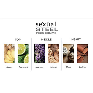 Michel Germain Sexual Steel Pour Homme Eau de Toilette Spray Men's Cologne, Top Notes of Ginger, Bergamot, Rhubarb Leaves, Charismatic & Intense Gift for Him, 2.5 Fl Oz