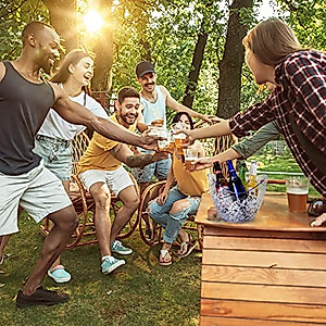 Devine Accessories - Ice Bucket Clear Acrylic 3.5 Liter Good for 2 Wine or Champagne Bottles Ice Bucket (1)