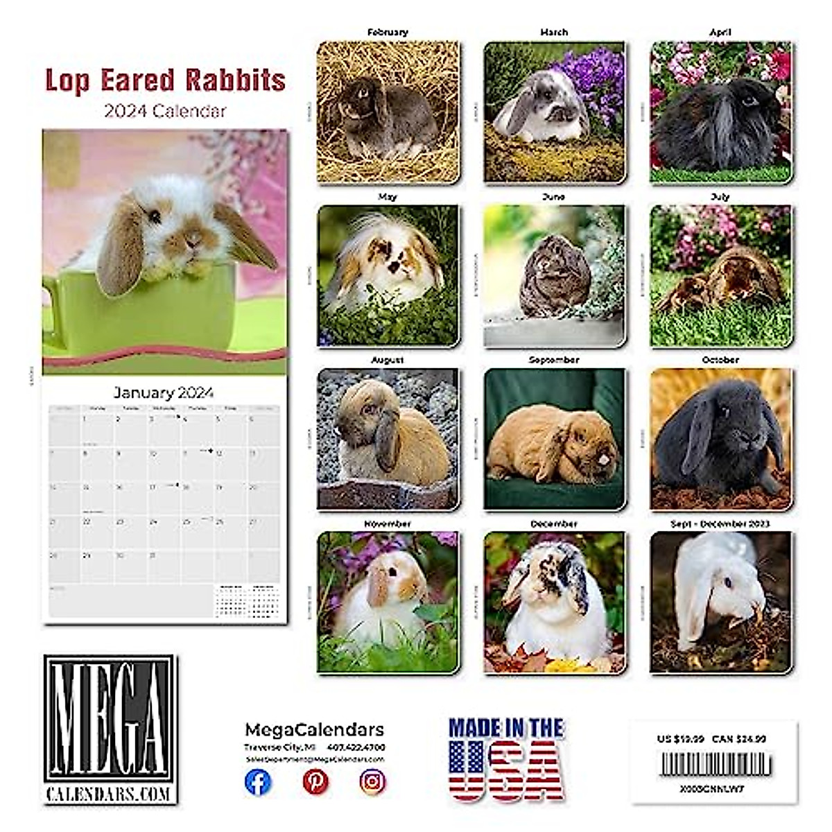 2023 2024 Lop Eared Rabbit Calendar - Cute Animal Monthly Wall Calendar - 12 x 24 Open - Thick No-Bleed Paper - Giftable - Academic Teacher's Planner Calendar Organizing & Planning