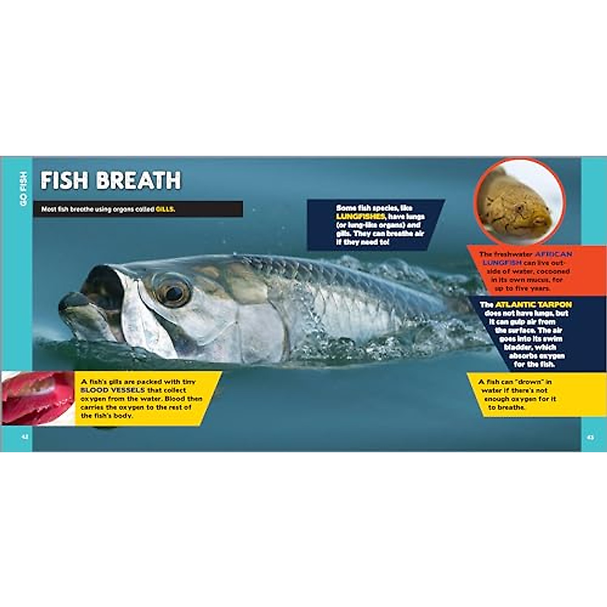 The Fascinating Ocean Book for Kids: 500 Incredible Facts! (Fascinating Facts)