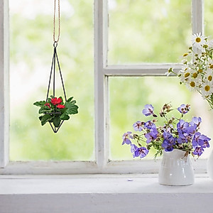 UPKOCH 8 Pack Geometric Plant Hangers Air Plants Hanging Metal Air Plants Holders Pot Container Decoration