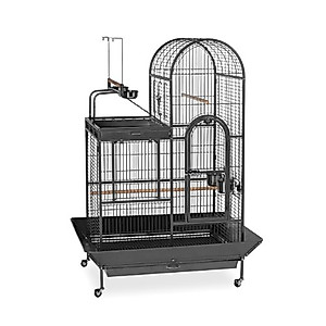 Prevue Pet Products BPV3159 Double Roof Bird Cage with Playtop, 36-1/2 by 27-1/4-Inch, Black