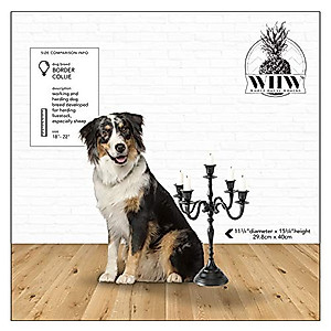 WHW Whole House Worlds Hamptons Five Candle Candelabra, Rustic Black Finish, Centerpiece, Hand Crafted of Cast Aluminum Nickel, Over 1 FT High, (15 3/4 Inches)