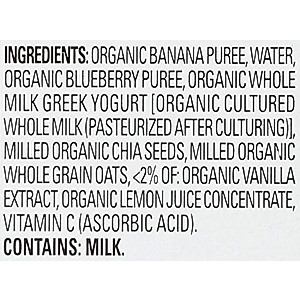 HAPPY TOT BABY Organic Banana Blueberry Yogurt & oats Super Morning, 4 OZ