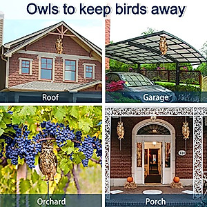 Fake Owls to Keep Birds Away, Bird Scare Device, Bird Scarer, Cardboard Hanging Reflectors, Flat Paper Garden Owls Scare Pigeons Woodpeckers Rodent Goose Away from Porch Patio Garage Tree Pool 4PCS