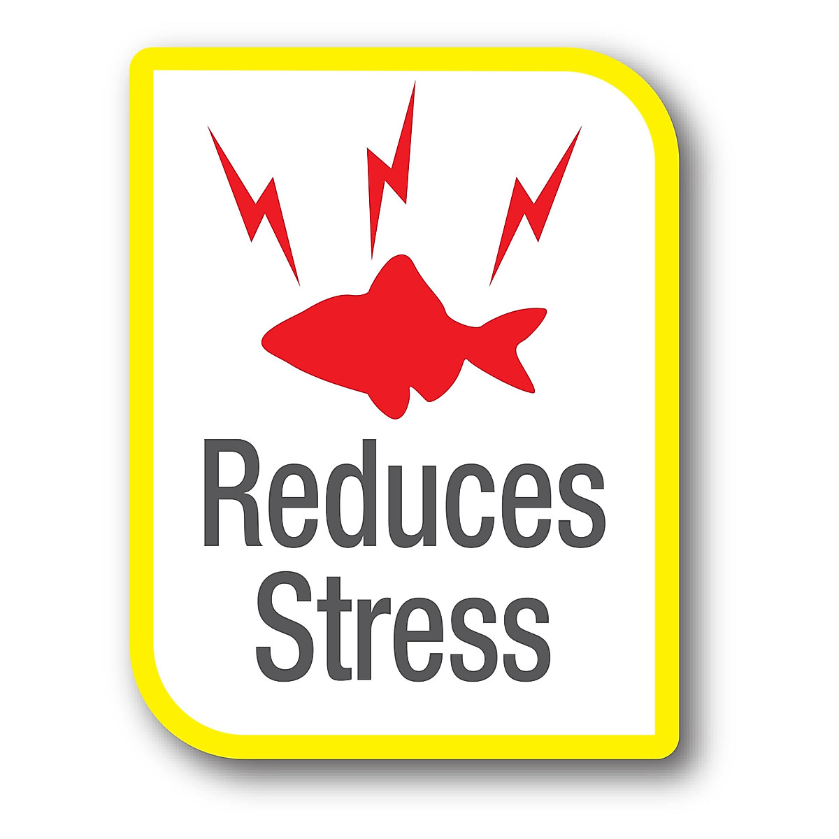 Tetra AquaSafe Plus 16.9 Ounces, aquarium Water Conditioner And Dechlorinator