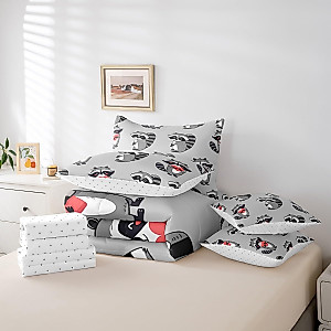 Erosebridal Grey Raccoon Comforter Set 7 Piece Bed in a Bag Twin,Cute Wild Animals Bedding Sets Cartoon Wildlife Sheet Set with Comforter