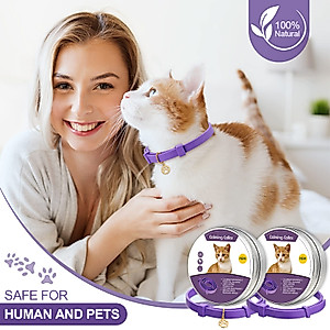 2 Pieces Calming Cat Collar Lavender Scent Relaxing Cat Collar Adjustable Longlasting Reduce Anxiety Cat Collar with Pendant for Puppy Cat Reduce Stress Aggression and Anxious Behavior, up to 15 Inch