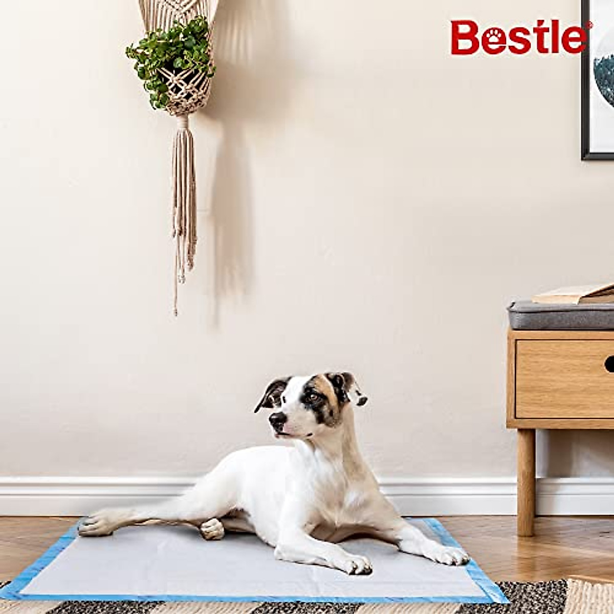 BESTLE Extra Large Pet Training and Puppy Pads Pee Pads for Dogs 28"x34" -40 Count Super Absorbent & Leak-Proof