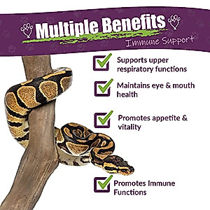 AMBER NATURALZ - REPTAID XL - Immune Support - for Reptiles 250g & More - 1 Ounce