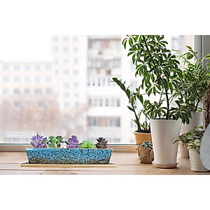 ARTKETTY Succulent Pots - Large Succulent Planters Pots with Drainage Tray, 1 Rectangle Flower Pot + 1 Round Bonsai Pot