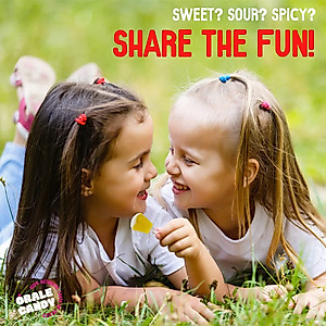 Mexican Candy Mix Assortment, Dulces mexicanos, Includes Vero mango, Salsaghetti, Peloneta, Pelon pelo rico, bulk candies, pulparindo, candy box variety pack