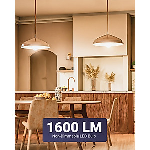 Sunco 12 Pack LED Light Bulbs, E26 Base Lamp Bulbs A19, [Focos LED para Casa], 5000K Daylight, 12W (100 Watt Equivalent), 1600 LM, Non-Dimmable, 25000 Lifetime Hours for Bedroom, Bathroom UL