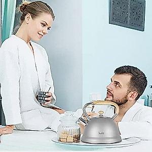 BAERFO 3.17 QT Stove Top Whistling Tea Kettle,Stainless Steel Teakettle,Teapot for Stove with Premium Zinc Alloy Silicone Grip(Silver)