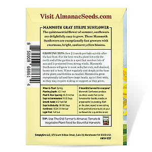 The Old Farmer's Almanac Sunflower Seeds (Mammoth Gray Stripe) - Approx 80 Flower Seeds - Premium Non-GMO, Open Pollinated, USA Origin