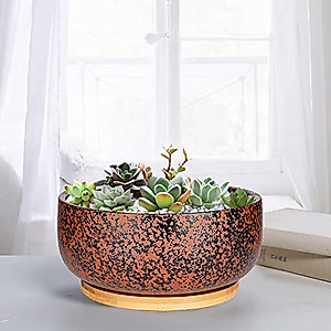 G EPGardening 8 Inch Terracotta Succulent Planter Pot with Drainage Hole Round Shallow Bonsai Planter Pot with Bamboo Saucer Flower Pot for Indoor Plants Black