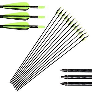 Huntingdoor Archery 31" Fiberglass Hunting Arrows Fiberglass Target Practice Arrows with Screw-in Tips for Recurve or Compound Bow(Pack of 12)