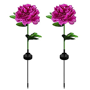 Aolyty Solar Flower Garden Lights, Single Head Solar Peony Light, Outdoor Decoration Solar Stake Lights, 2 Pack IP65 Waterproof LED Landscape Light for Pathway Walkway Patio Lawn Garden (Purple)