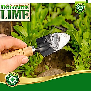 Organic Dolomite Lime - Made in USA Garden Soil Amendment Fertilizer for Plants. Calcium/Magnesium Additive. Safely Raise & Stabilize pH - Earthbox. 100% Water Soluble.