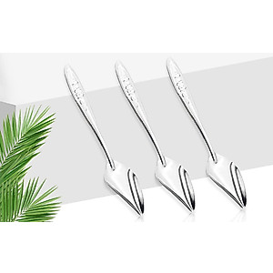 LILYS PET 4.7" Bird Parrot Stainless Steel Metal Feeding Spoon,Special Feeding Scoop Medicine Spoons Hand Feeding Spoons for Peony Cockatiel Parrot (3PCS)