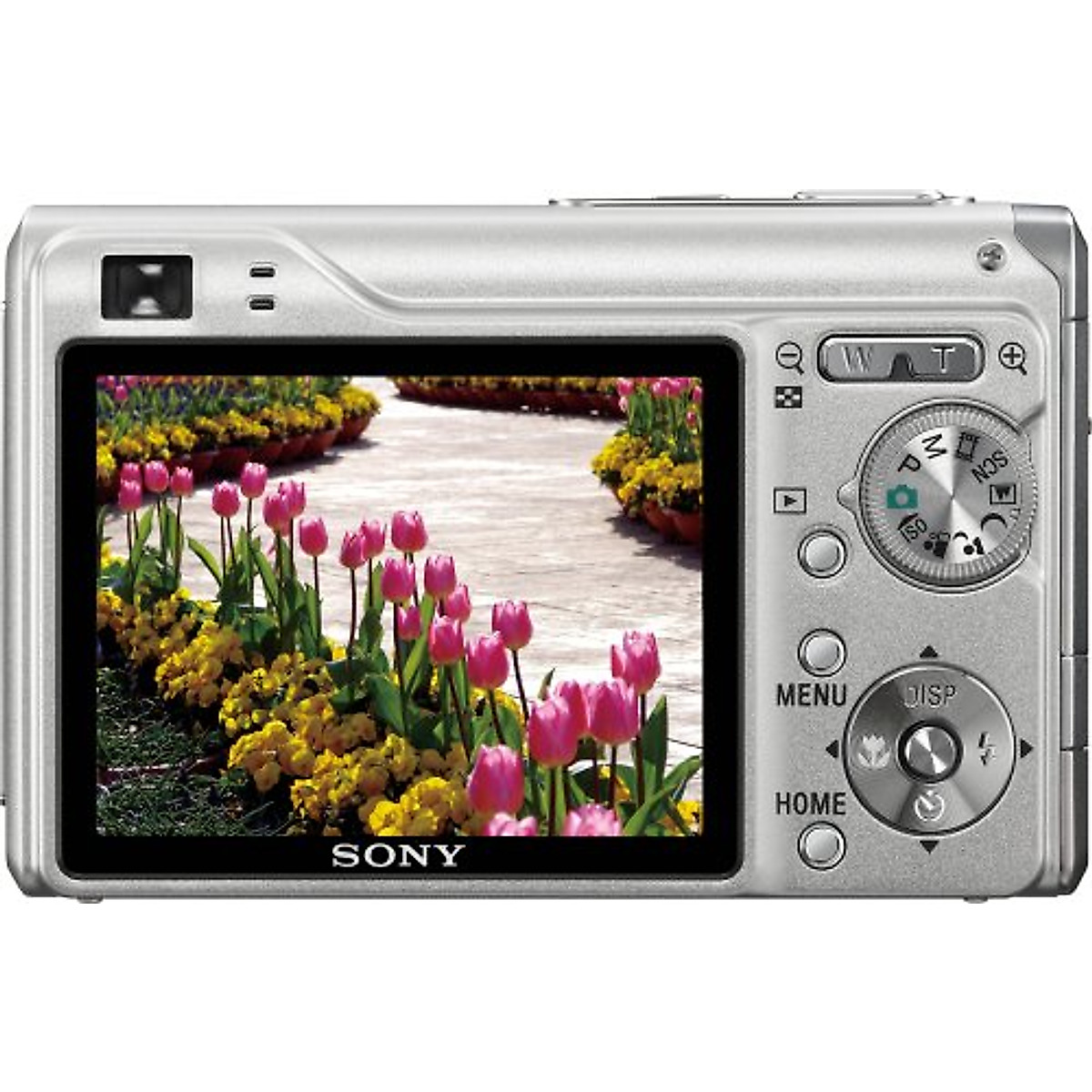 Sony Cybershot DSCW200 12.1MP Digital Camera with 3x Optical Zoom and Super Steady Shot