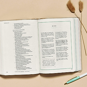 CSB She Reads Truth Bible, Champagne Gold LeatherTouch, Black Letter, Full-Color Design, Wide Margins, Journaling Space, Devotionals, Reading Plans, Single-Column, Easy-to-Read Bible Serif Type