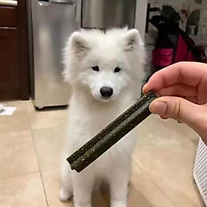 Pupford Dental Chews for Dogs | Freshens Breath, Scrapes Plaque, Safe for Gut | Healthy, Limited Ingredient, All Natural |Yummy & Made in USA | Free Training Resources | 30 Count