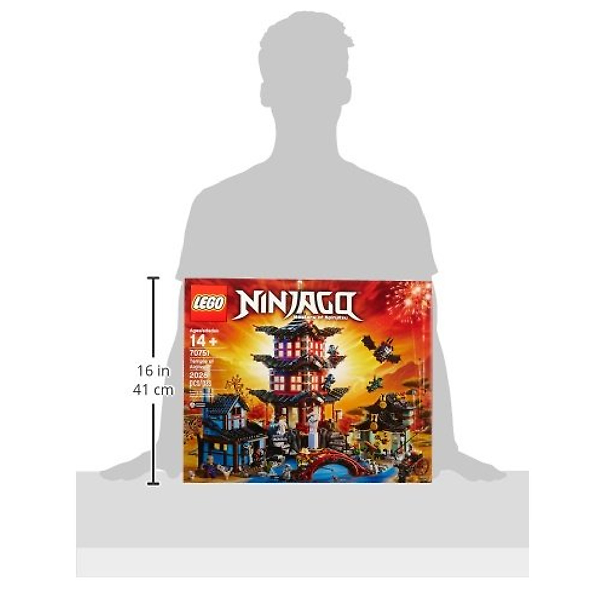 LEGO Ninjago Temple of Airjitzu 70751