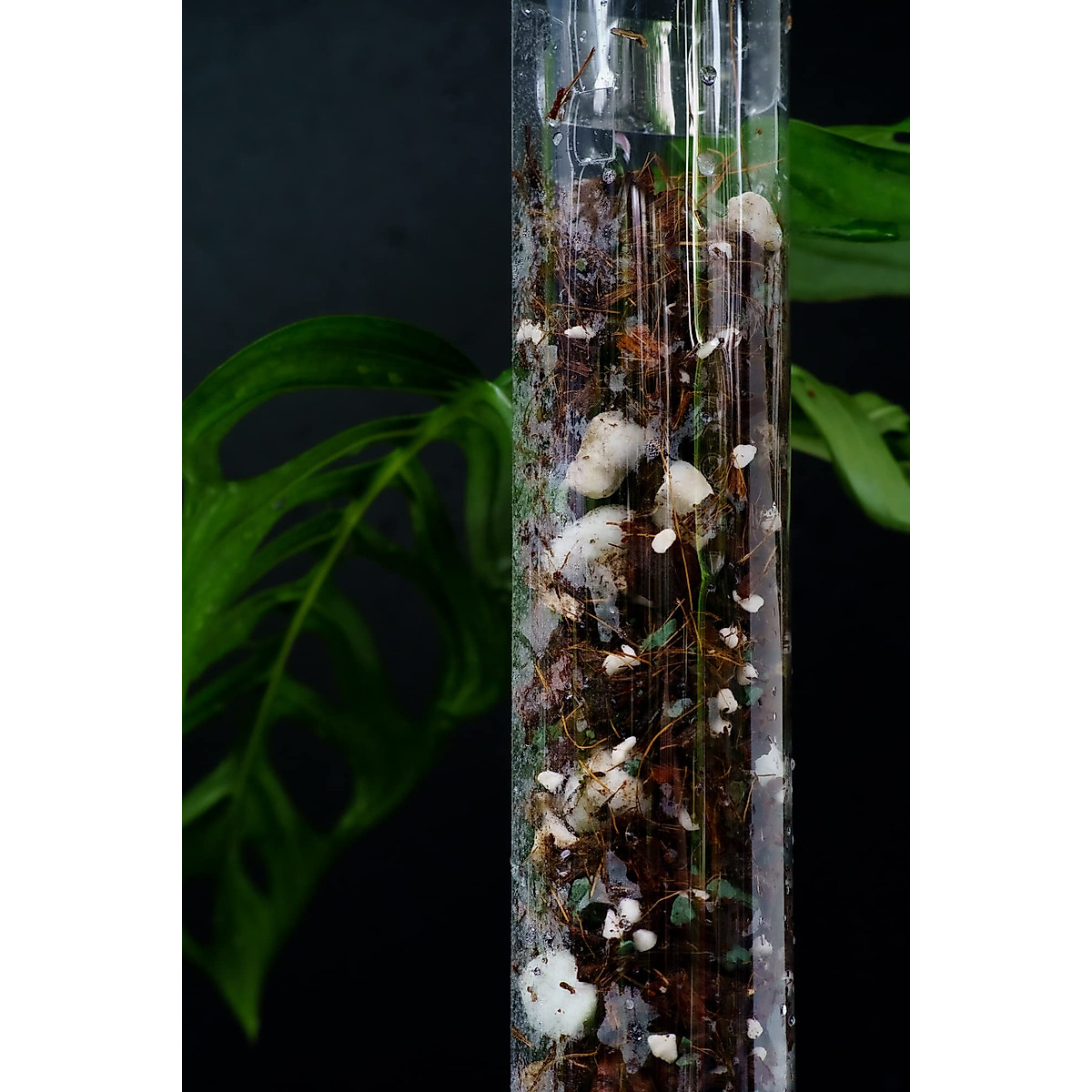 THICCLY Medium 3.0 GrowPole (5 Piece Set) Front Opening Plastic Moss Poles for Monstera