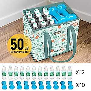 BALEINE 3Pk Reusable Grocery Bags, Foldable Shopping Bags for Groceries with Reinforced Bottom & Handles (Spring Stroll)